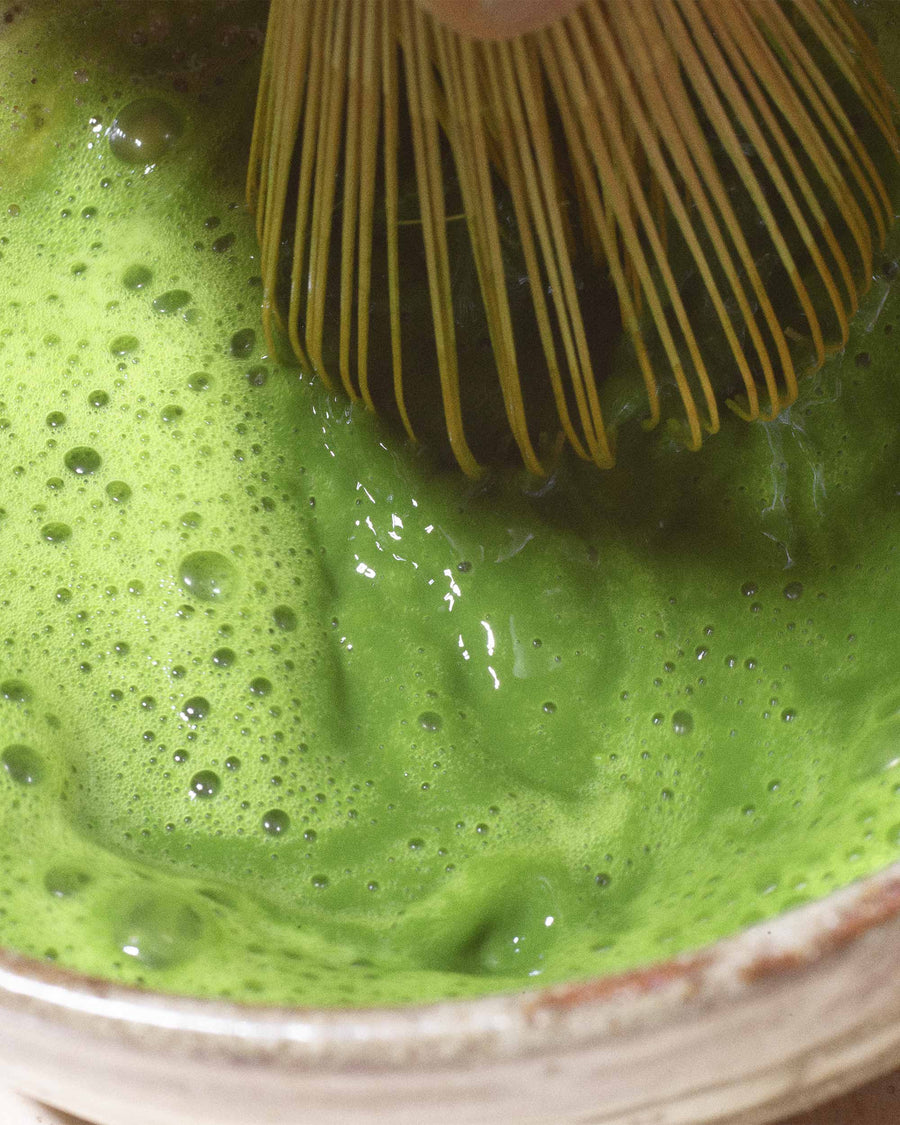 Ceremonial Matcha 40g | Nekohama International